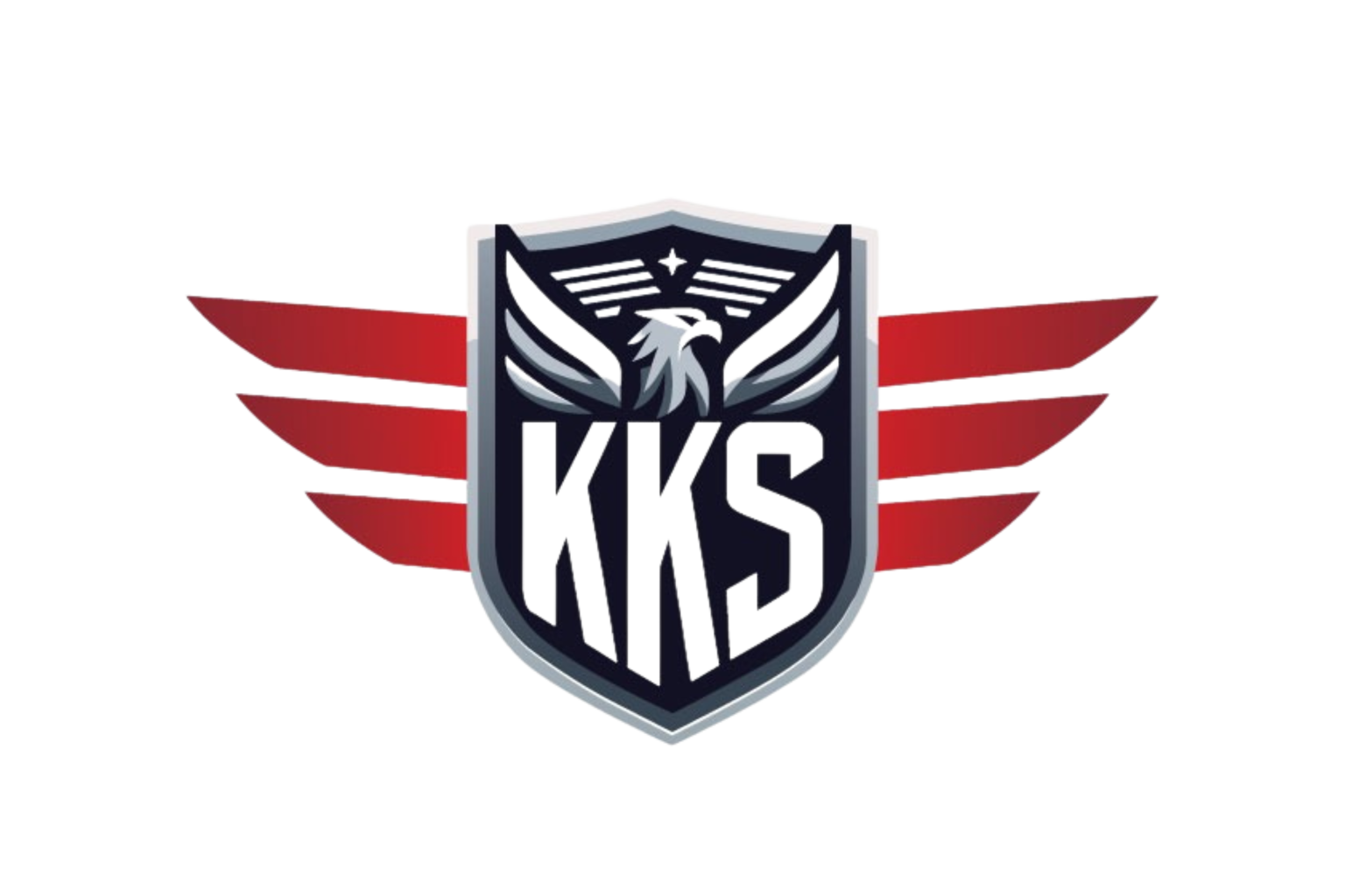 Konsultan Khidmat Setia Security – Your Safety in the right hands