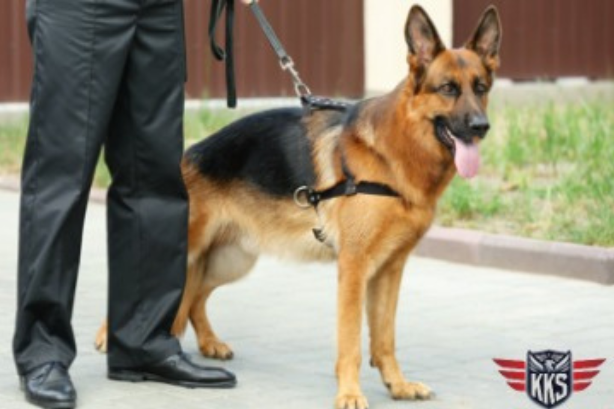 Konsultan Khidmat Setia Security – Your Safety in the right hands